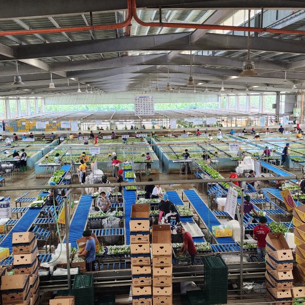 Packing House Plan – Agrofresh